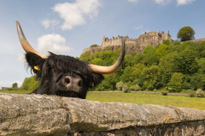 Getting Around Stirling - Your Stirling